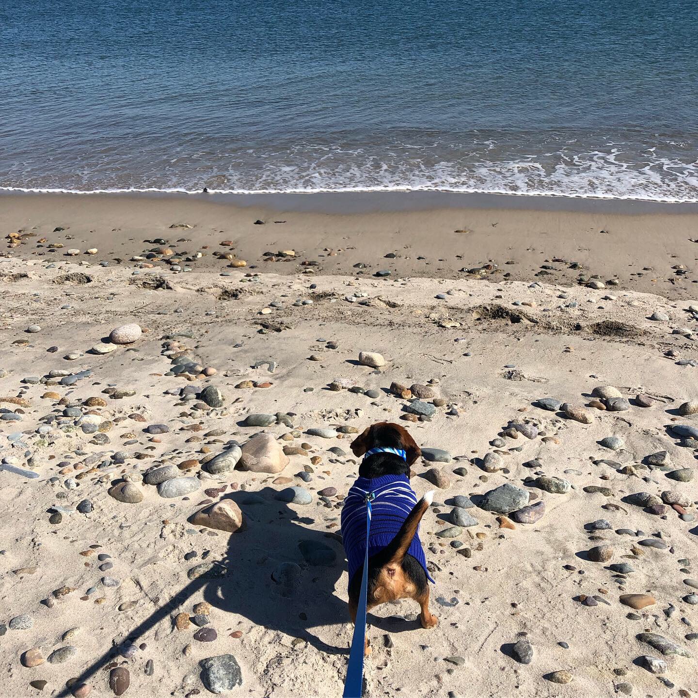 Amy Sue Nathan’s The Last Bathing Beauty–The Summer Escape We All Need ...